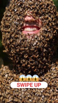 An Extraordinary Commitment to Bee Welfare: A Unique Effort to Advance ...