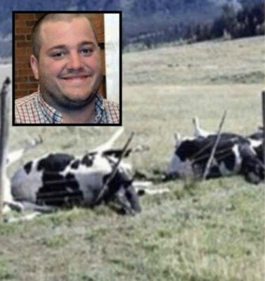 Farmer And 16 Cows Found Dead, Cause Of Death Finally Discovered. — STORIES