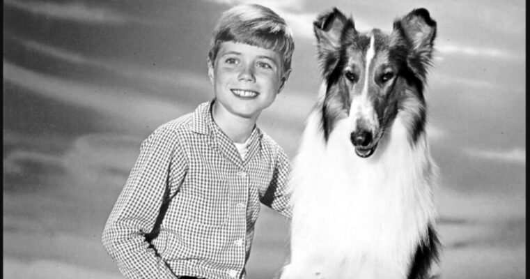 He Was Timmy on Lassie: The Remarkable Life and Career of Jon Provost ...