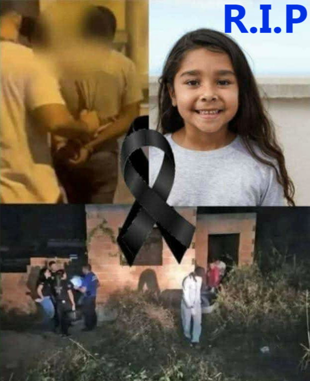 Missing girl found in the woods, her father was who... - STORIES