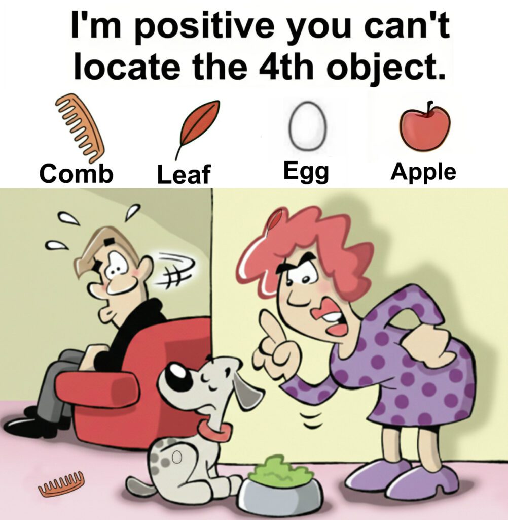 Find Comb, Leaf, Egg, Apple. - STORIES